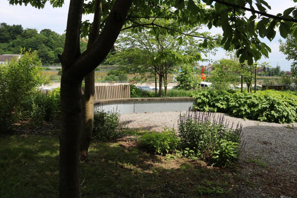 Strokovne podlage za krepitev upravljanja in vzdrževanja zelenih površin in dreves v naseljih - IPoP